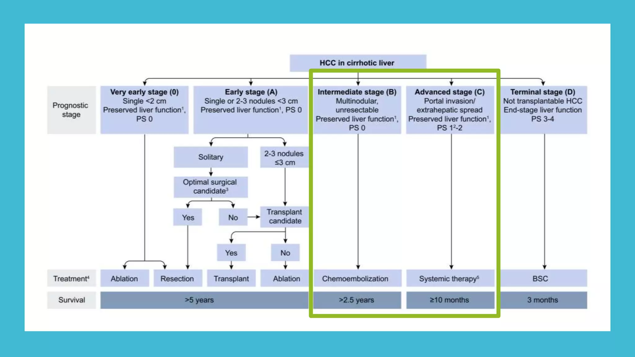 Immunotherapies in management of HCC | PPTX