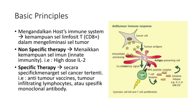 Basic Overview and Introduction of Immunotherapy.pptx