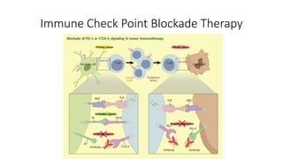 Basic Overview and Introduction of Immunotherapy.pptx