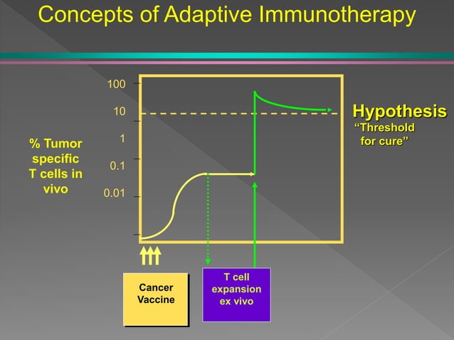 Immunotherapy for lymphoma | PPT