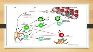 immunoprophylaxis and Immunotherapy of infectious diseases | PPTX