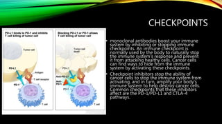 Immunotherapy of tumor | PPTX