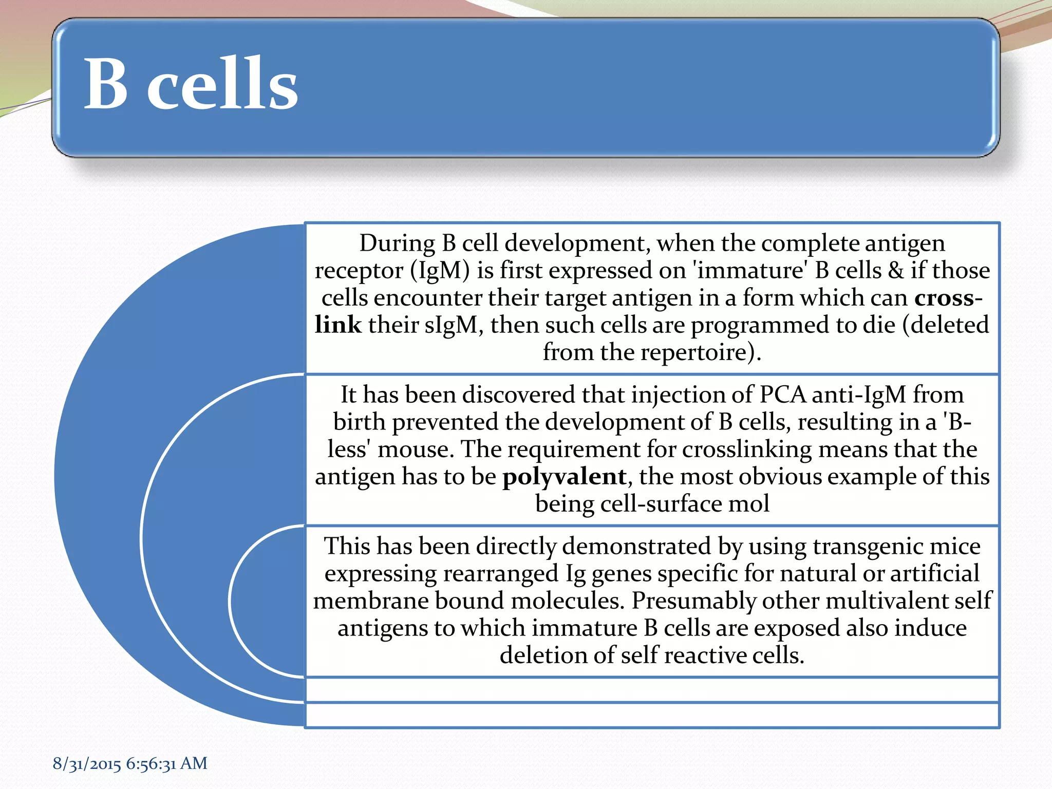 Immunotolerance: mechanism and consequence | PPTX