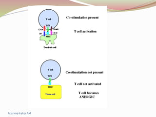 Immunotolerance: mechanism and consequence | PPTX