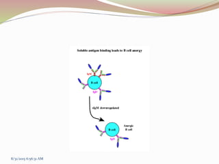 Immunotolerance: mechanism and consequence | PPTX