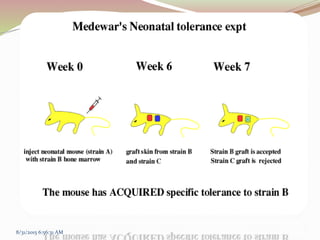Immunotolerance: mechanism and consequence | PPTX