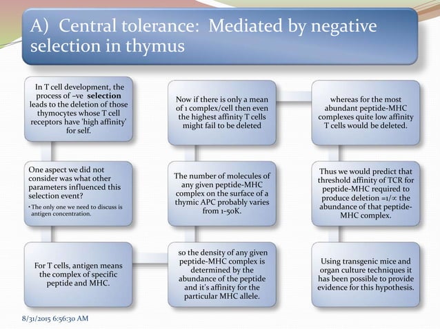 Immunotolerance: mechanism and consequence | PPTX | Biological Sciences ...