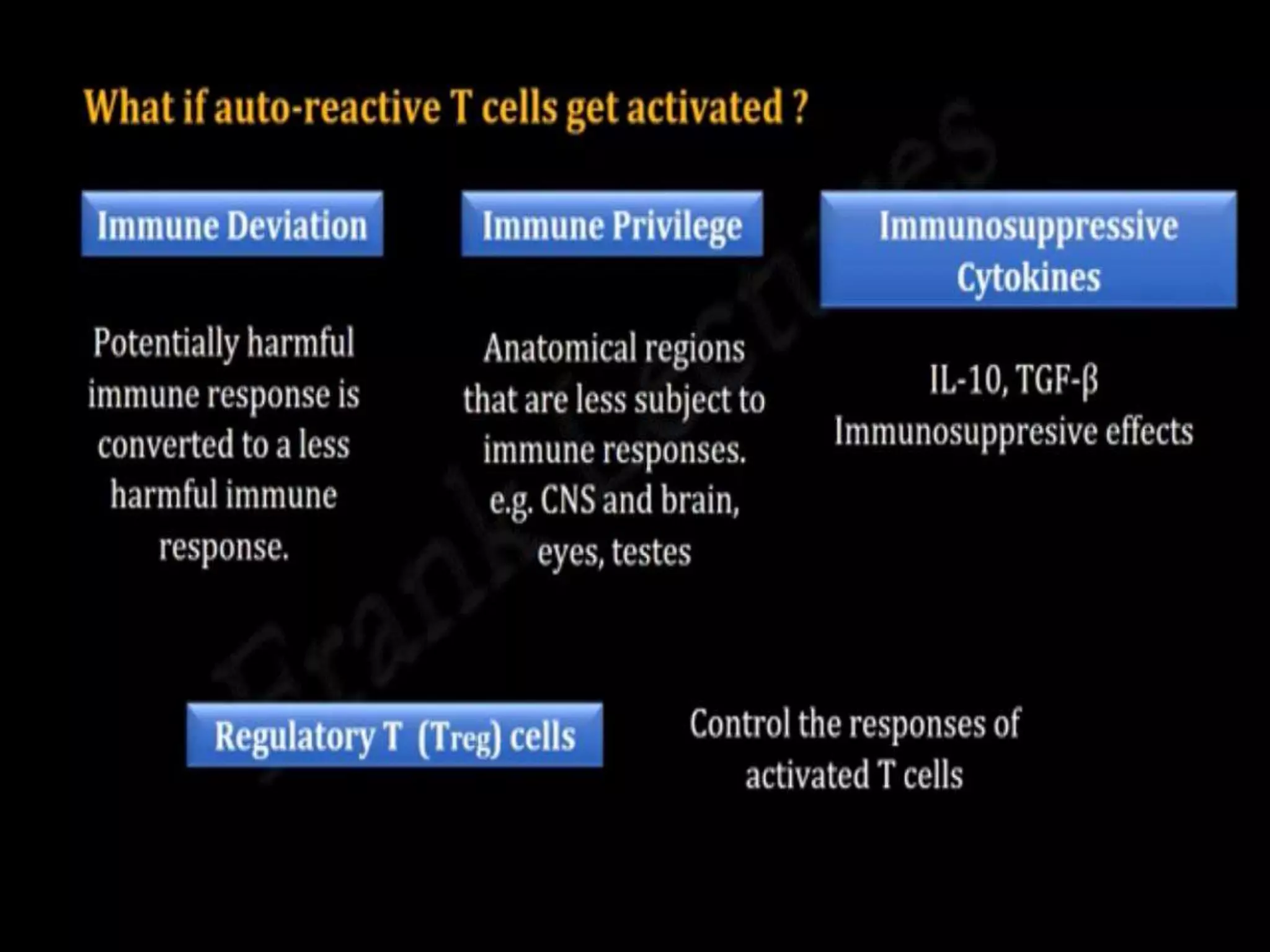 Immunotolerance | PPTX