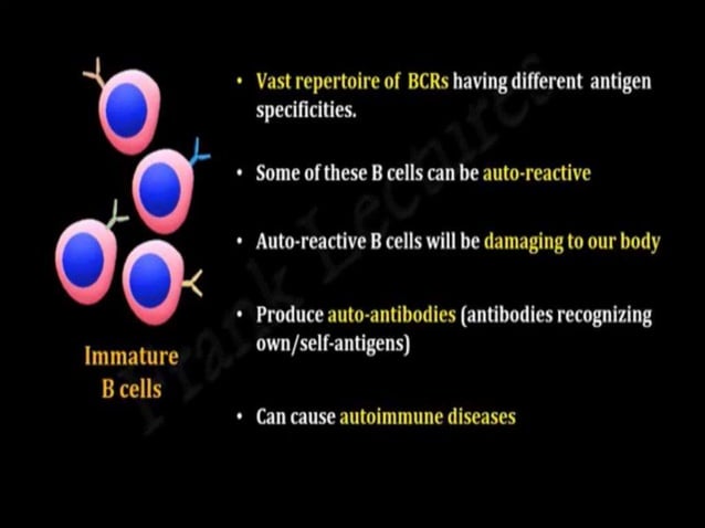 Immunotolerance | PPTX