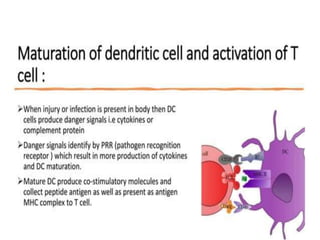 immunotolerance and immunology ( 305)-1.pptx