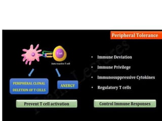 immunotolerance and immunology ( 305)-1.pptx