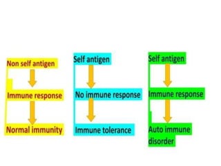 immunotolerance and immunology ( 305)-1.pptx