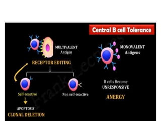 immunotolerance and immunology ( 305)-1.pptx