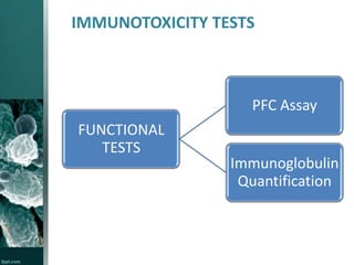 Immunotoxicity | PPTX