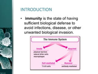 Immunotoxicity | PPTX