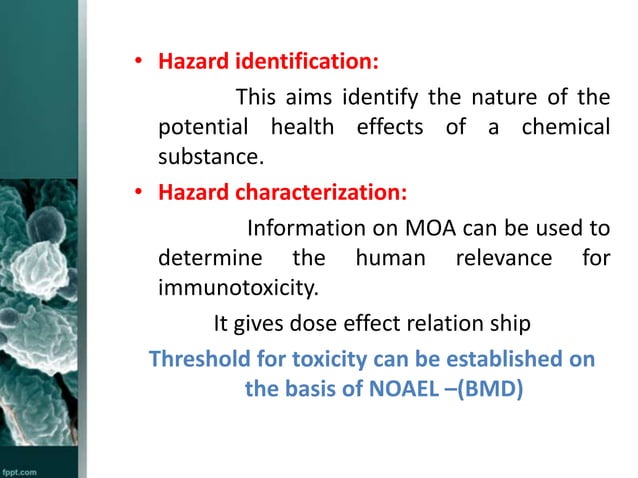 Immunotoxicity | PPTX | Infectious Diseases | Diseases and Conditions