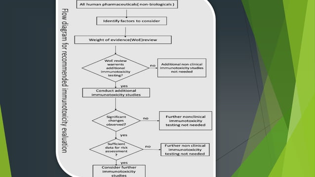 IMMUNOTOXICITY STUDIES FOR HUMAN PHARMACEUTICALS.pptx