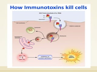 Immunotoxins | PPTX