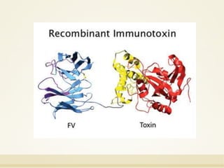 Immunotoxins | PPTX