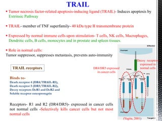 Immunotoxins_MJ.ppt