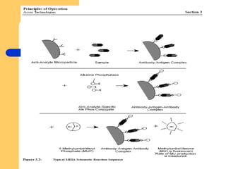 Transfusion transmissible infectious laboratory procedures | PDF