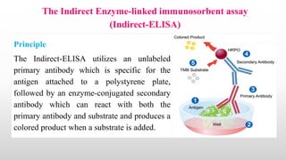 Indirect-ELISA in immunology | PPTX