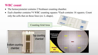 Assessment of Circulating WBC | PPTX | Blood Disorders | Diseases and ...