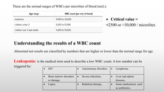 Assessment of Circulating WBC | PPTX | Blood Disorders | Diseases and ...
