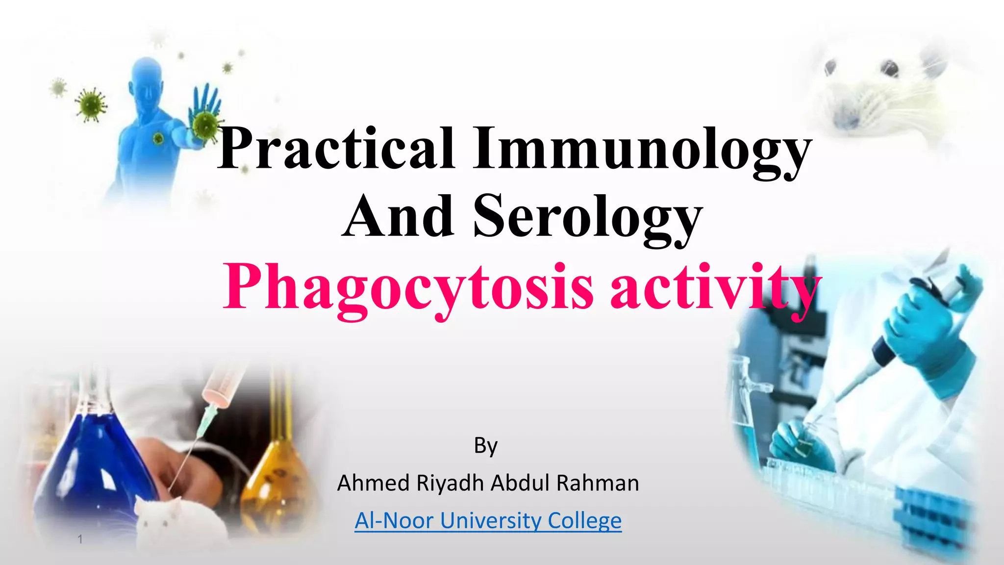 Immuology Phagocytosis activity | PPTX