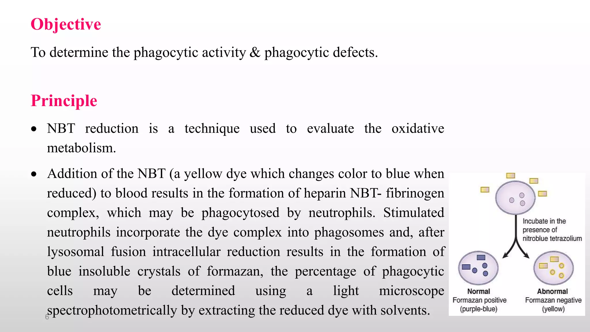 Immuology Phagocytosis activity | PPTX
