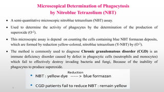 Immuology Phagocytosis activity | PPTX