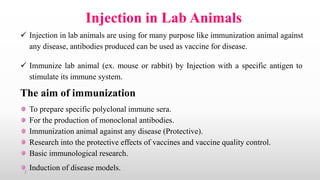 Immuology Injection in Lab Animals | PPTX