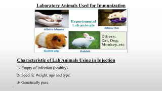 Immuology Injection in Lab Animals | PPTX