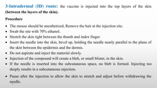 Immuology Injection in Lab Animals | PPTX