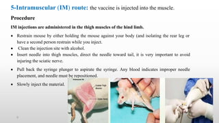 Immuology Injection in Lab Animals | PPTX