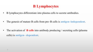 B Lymphocytes | PPTX