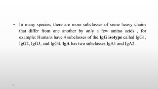 Immunoglobulin Structure | PPTX | Chemistry | Science