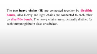 Immunoglobulin Structure | PPTX