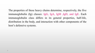 Immunoglobulin Structure | PPTX | Chemistry | Science