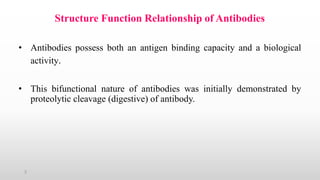 Structure Function Relationship of Antibodies | PPTX
