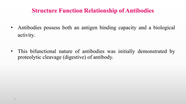 Structure Function Relationship of Antibodies | PPTX | Infectious ...