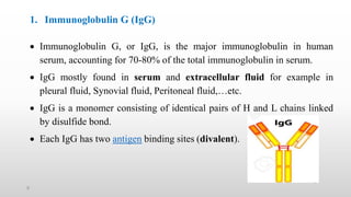 Structure Function Relationship of Antibodies | PPTX | Infectious ...