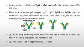 Structure Function Relationship of Antibodies | PPTX | Infectious ...