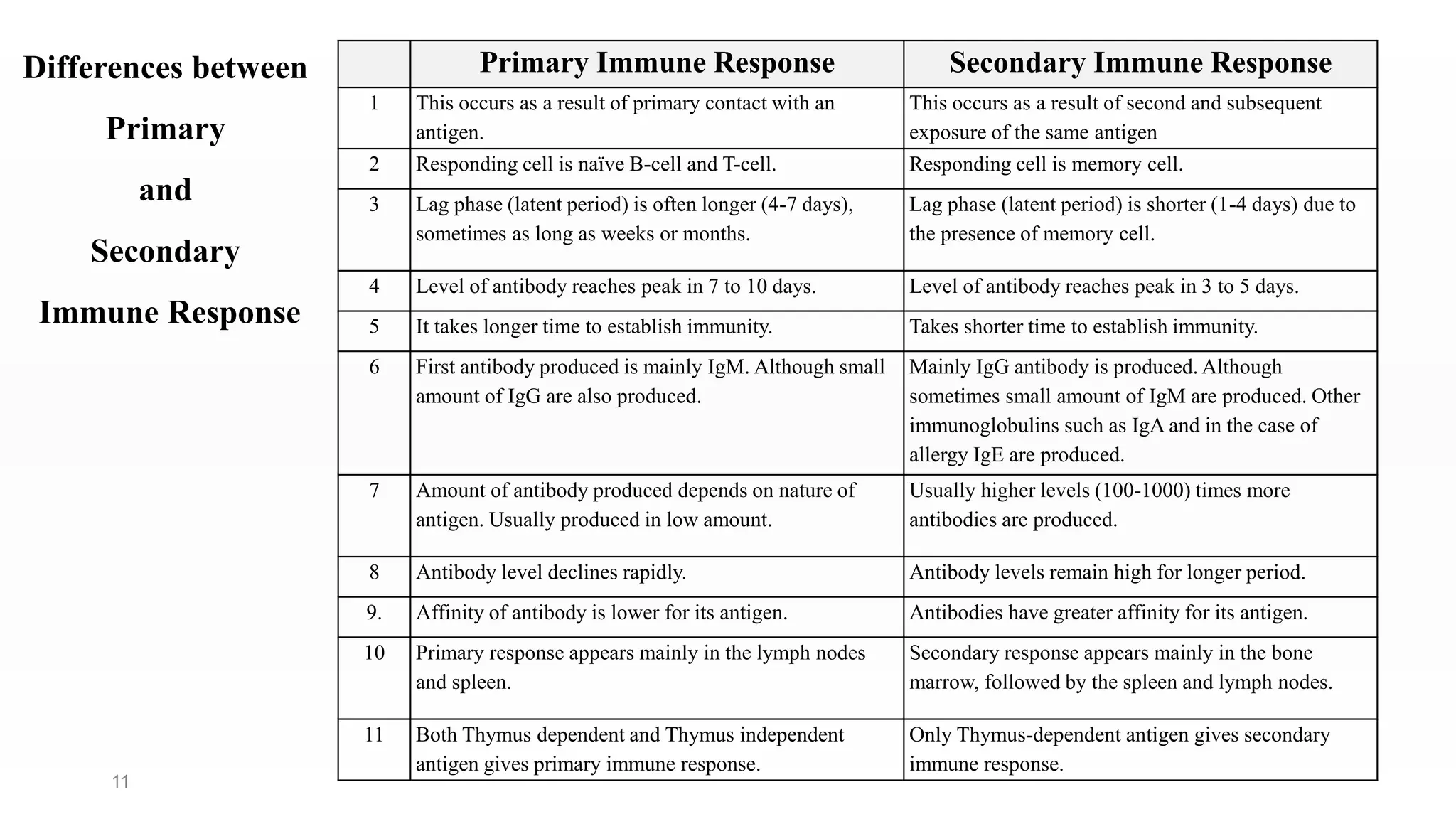 Primary and Secondary Immune Responses | PPTX