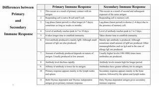 Primary and Secondary Immune Responses | PPTX
