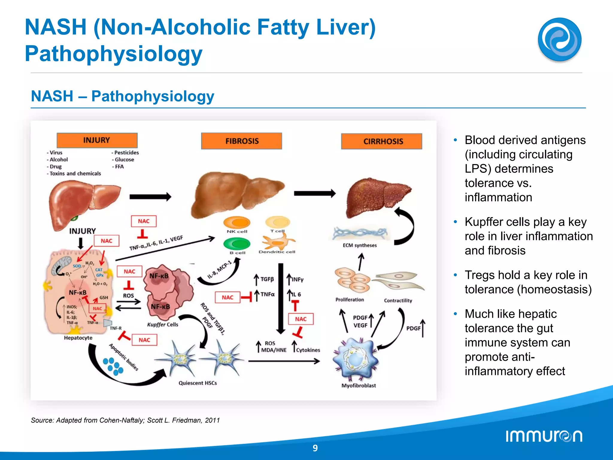 Immuron Corporate Presentation | PDF | Digestive Disorders | Diseases ...
