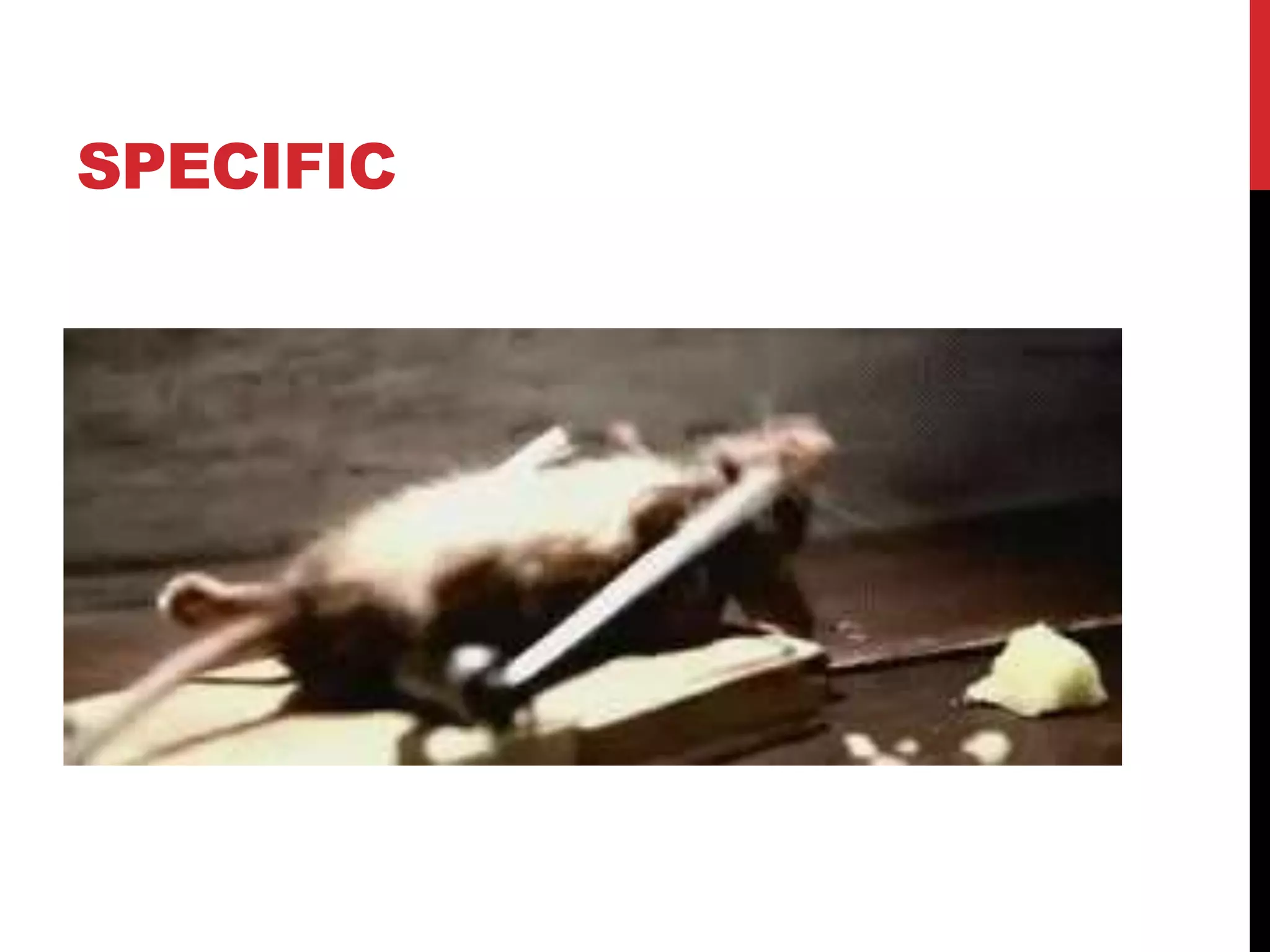 Understand immutable infrastructure, what? Why? how? - devops d day ...