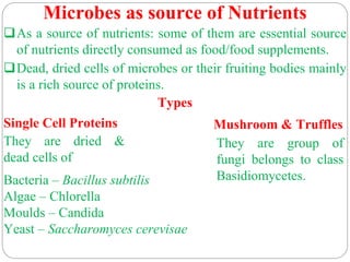 Microbes.pptx