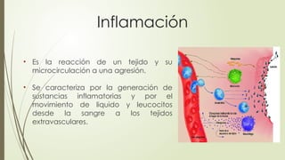 imnunologia inflamacion, fases de la inflamacion y respuesta ...