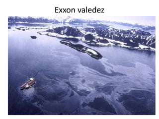 Imo conventions | PPTX